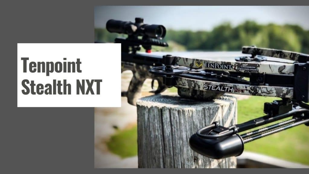 Tenpoint Stealth NXT Review - The Shooting Gears