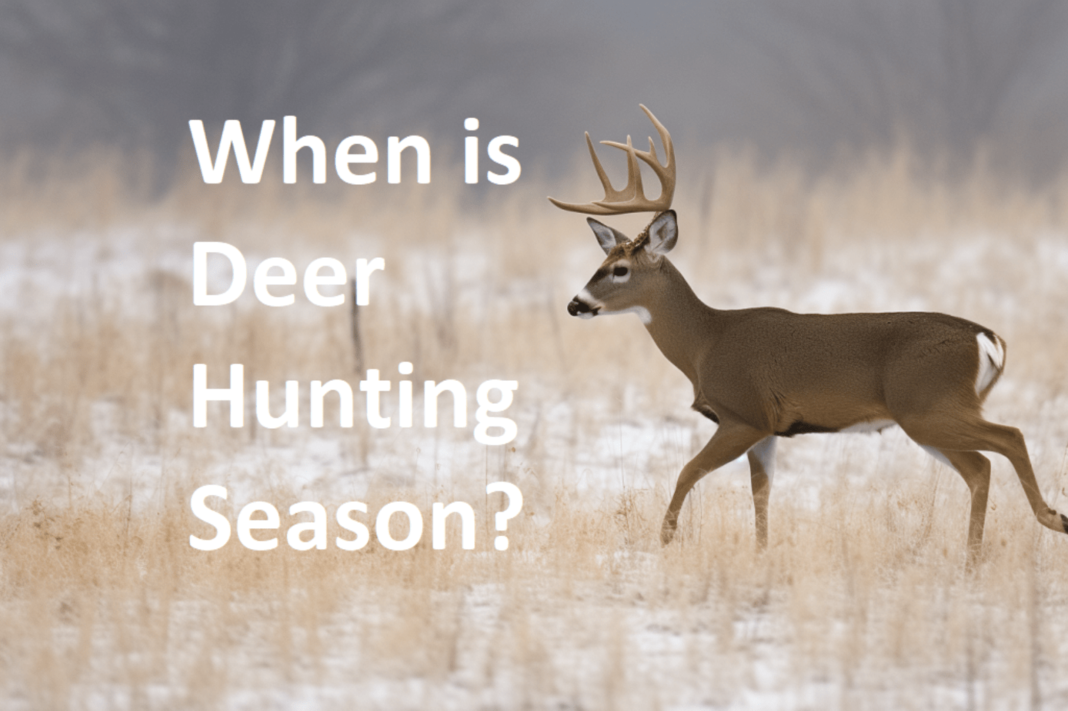 When is Deer Hunting Season? A Guide to the Timing and Regulations ...