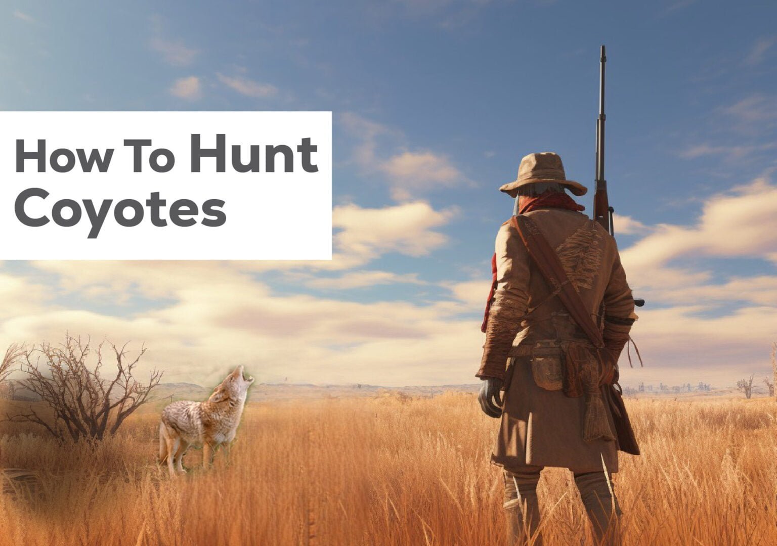 How to Hunt Coyotes: A Comprehensive Guide - The Shooting Gears
