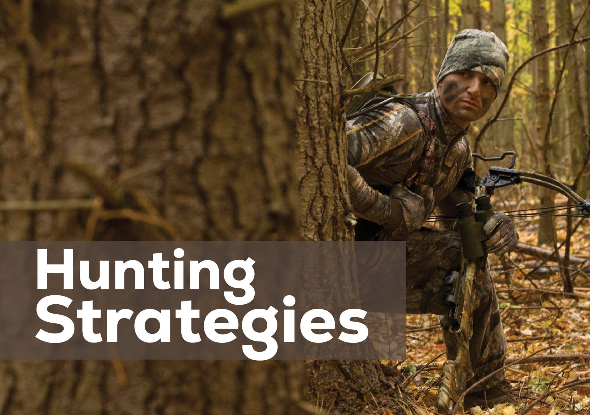 Hunting Strategies: Techniques and Approaches for a Successful Hunt ...