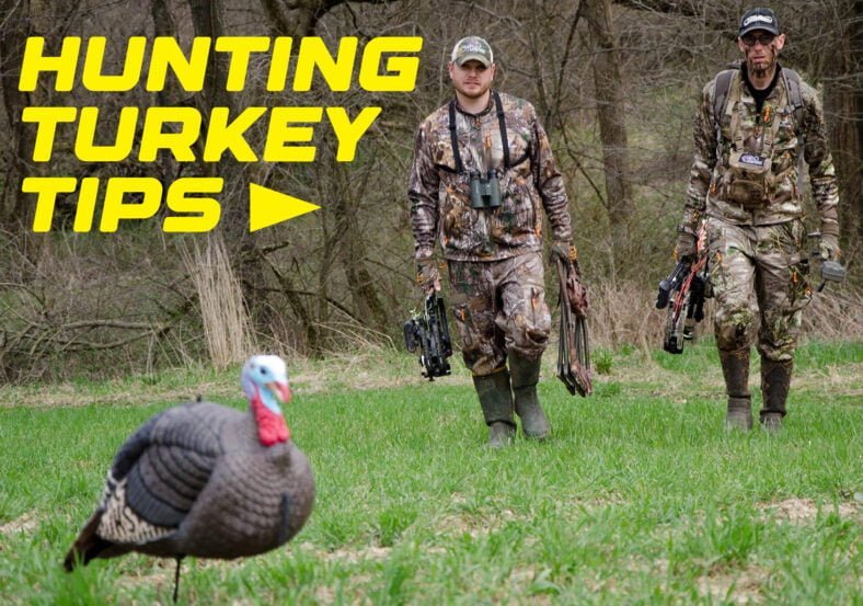 Sporting Clay Shooting Tips: A Comprehensive Guide to Mastering the ...