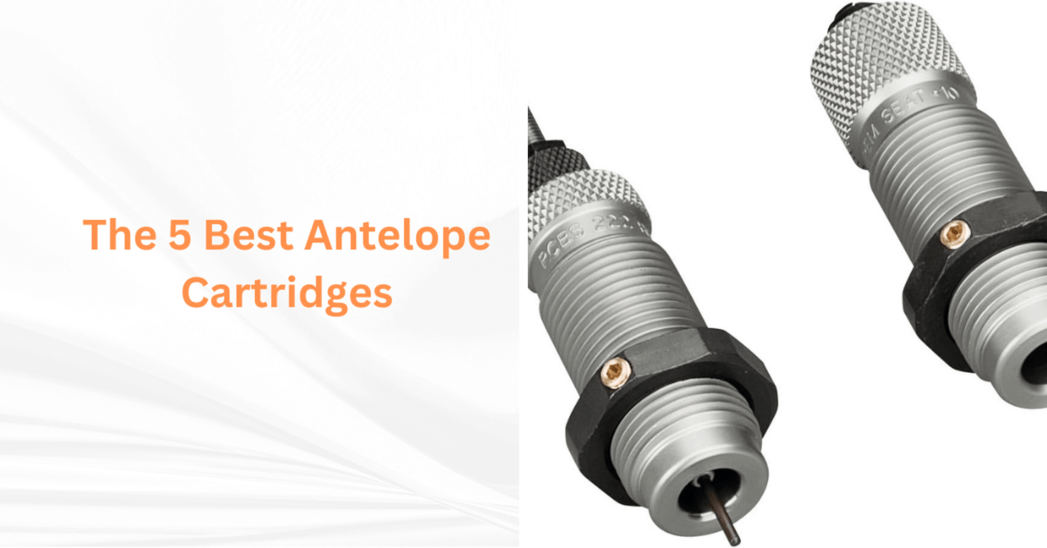 The 5 Best Antelope Cartridges: A Hunter’s Guide - The Shooting Gears